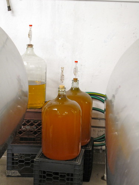 Discover the Distinctive Rich Taste of Scottish Sweet Stout