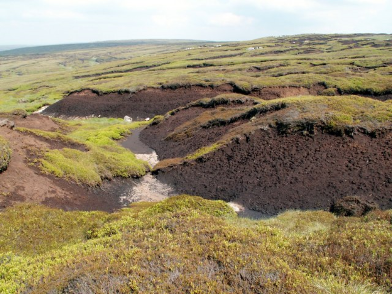 Embracing Diversity: Kevin Blodger of Union Craft Brewing